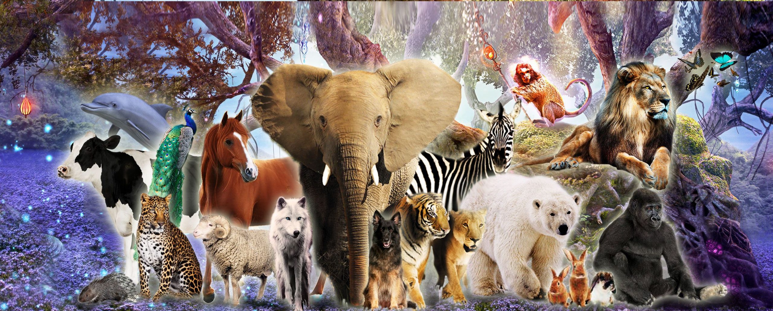 Donkey Meaning and Symbolism as a Spirit Animal - Clairvoyance Psychics